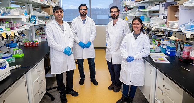 WSU scientists ensuring drug safety in underrepresented populations ...