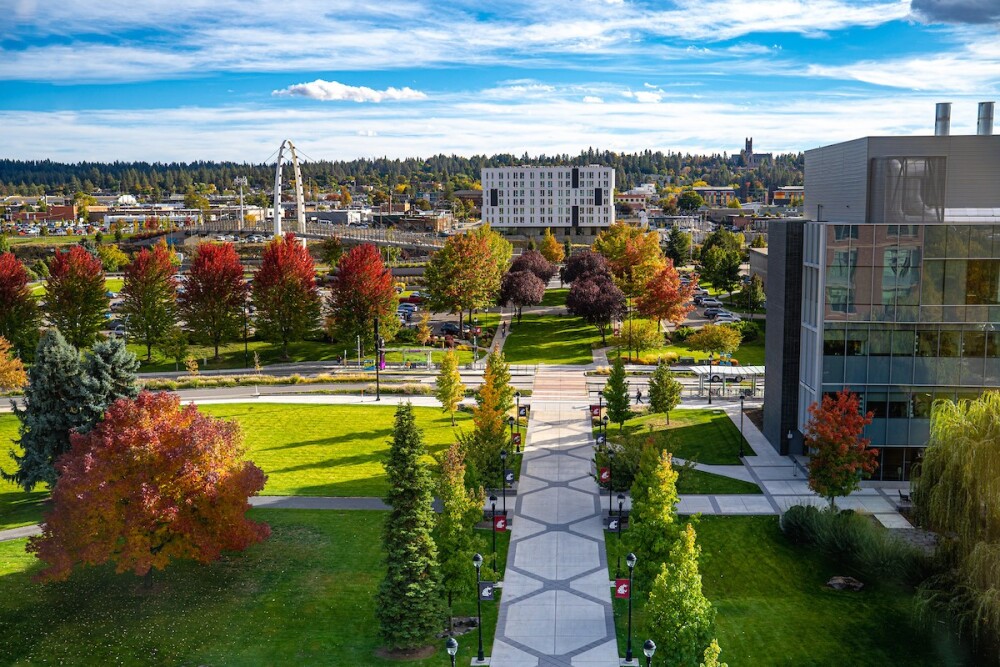 WSU Health Sciences Checkup | October 2024 | The University District